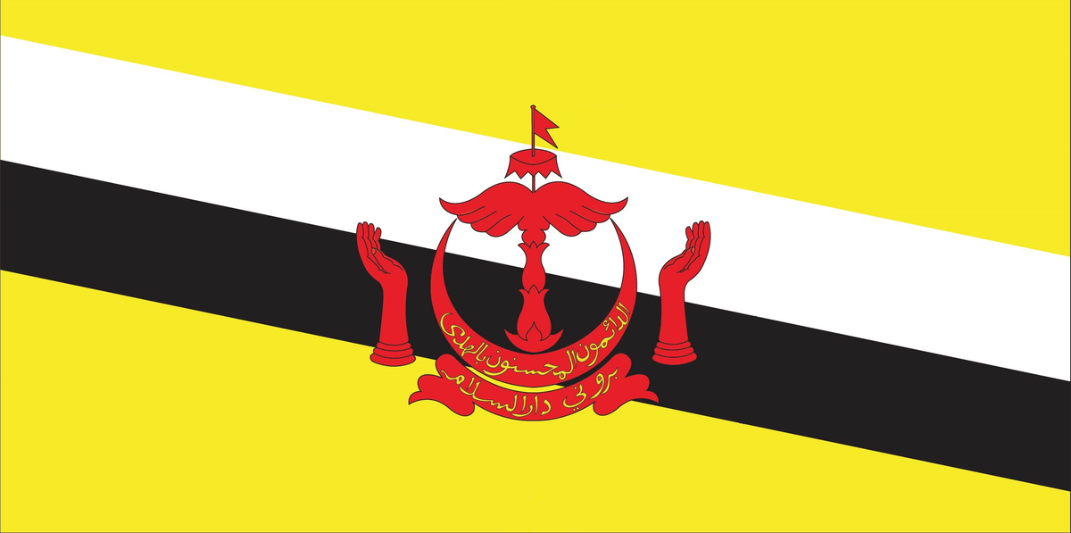 Brunei Announces Upcoming Fiscal Year Defense Budget - Defense Security ...