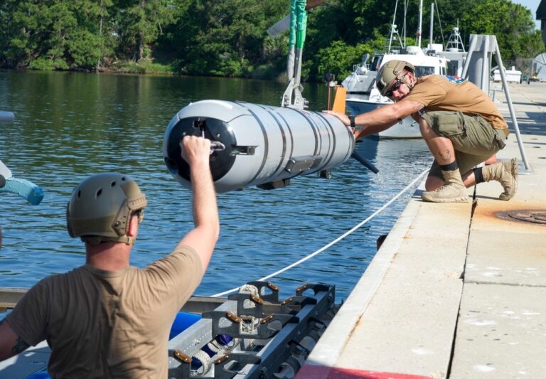 UUVs: Three areas to watch in 2024 - Defense Security Monitor